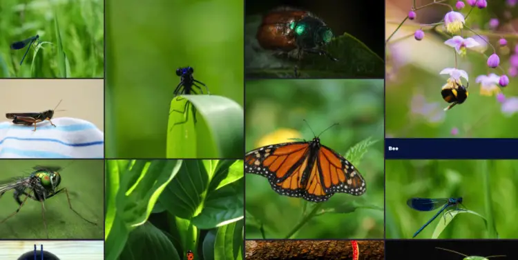 18 CSS Grid Layouts - W3tweaks